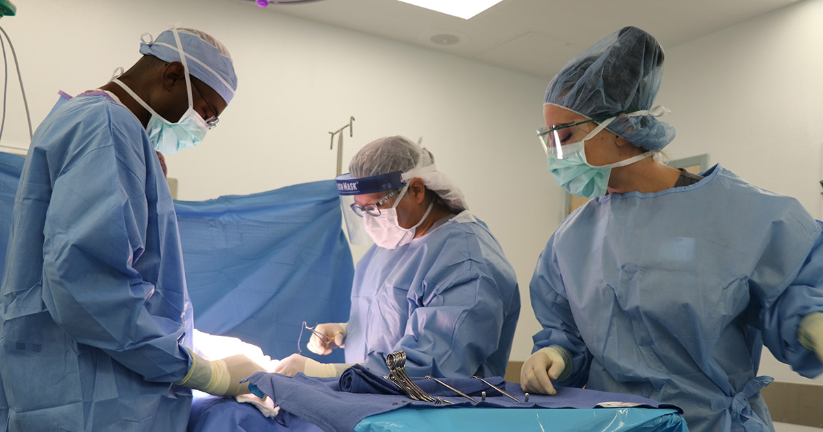 The Only Online Surgical First Assistant Program in the Southwestern ...